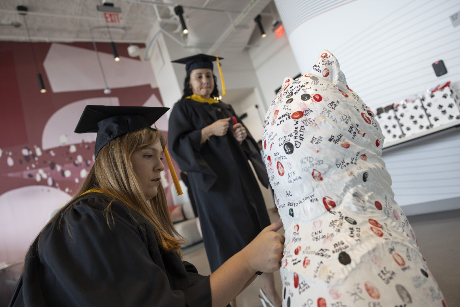Charlotte Commencement - Northeastern Commencement